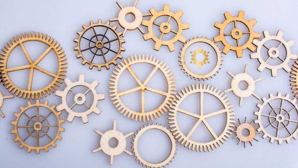 MELATIH AKAL SEHAT - Persaudaraan Matahari