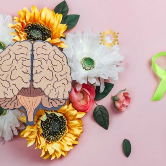 SUKACITA - Persaudaraan Matahari