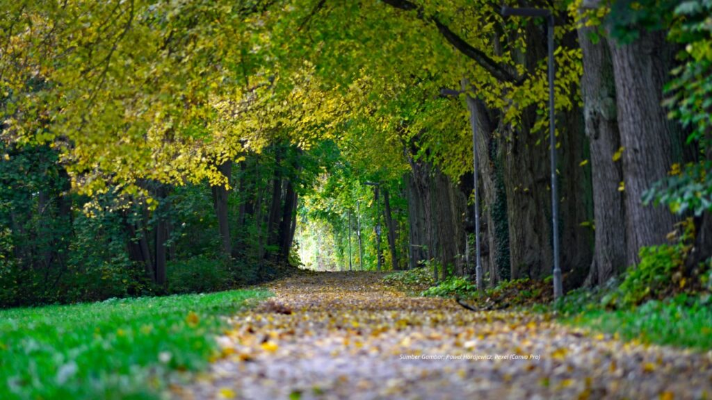 Jalan Keselamatan, Urusan Langit atau Bumi? - Persaudaraan Matahari